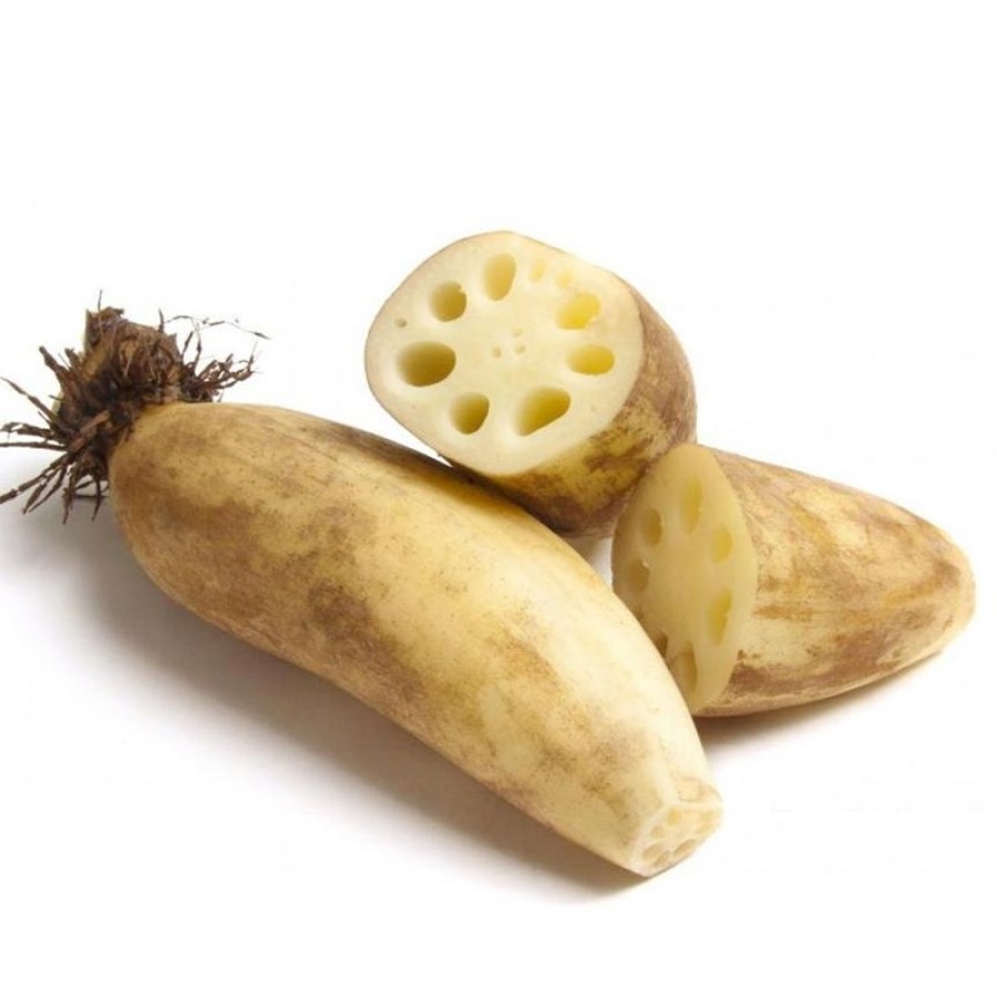 Lotus Stem (Kamal Kakri)